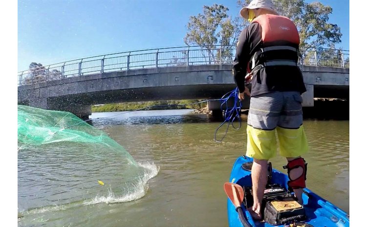 Viking Kayaks Profish Gt Fishing Kayak — Primal Hunter