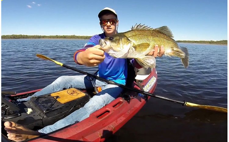 Viking Kayaks Profish Gt Fishing Kayak — Primal Hunter